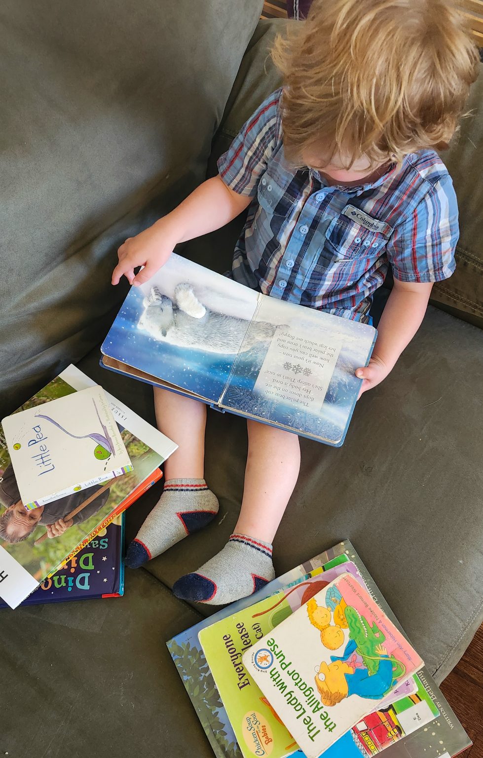 Best Toddler Books for Parent and Child that will Entertain - Home With ...