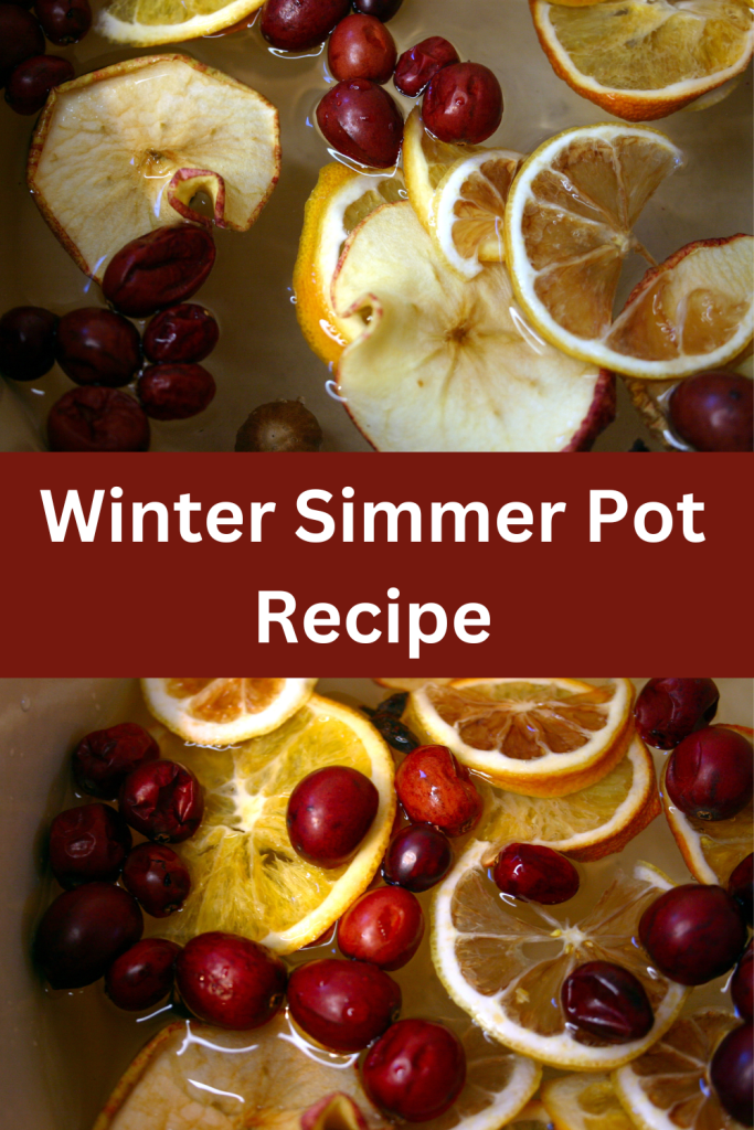 An Easy Winter Simmer Pot With Orange and Cranberry - Home With The Hudsons