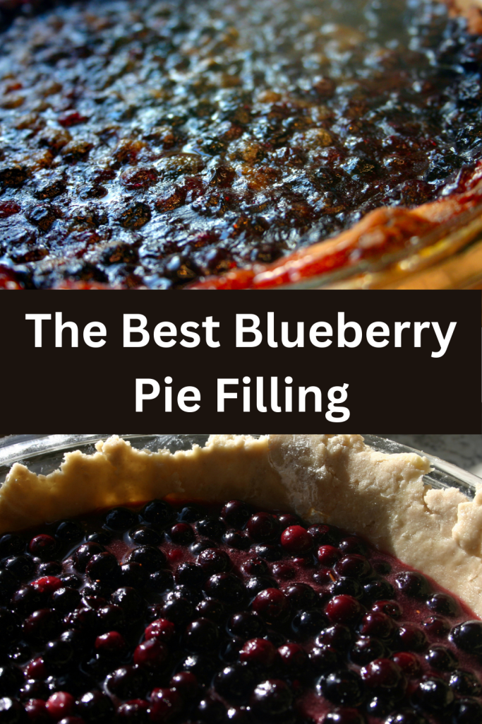 The Best Blueberry Pie Filling Recipe - Home With The Hudsons